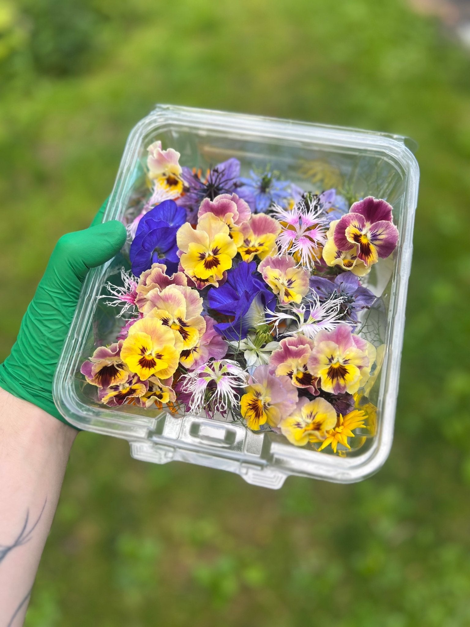 Fresh Edible Flowers for Chefs in Niagara on the Lake – Heirloom Acres NOTL